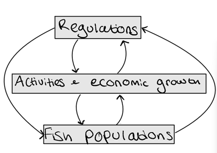 Causal Loop Diagram by Avanthika Kamath, Freya Ivy Palmer, Imali ...