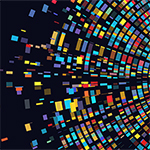 Three-level meta-analysis models in R: An Introduction by Francesca ...